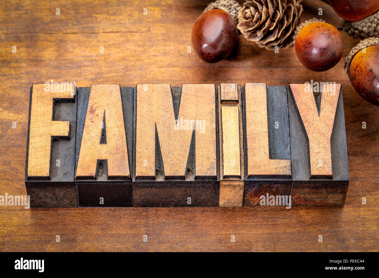 family word in vintage letterpress wood type against grunge wooden ...