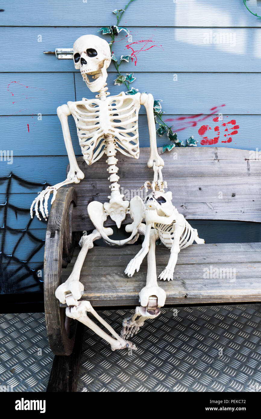 Spooky Halloween Skeletons in a Haunted House Stock Photo - Alamy