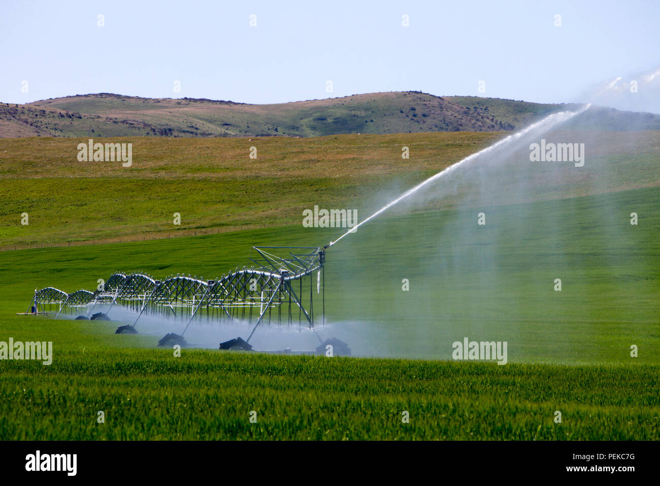 Center pivot irrigation america hi-res stock photography and images - Alamy