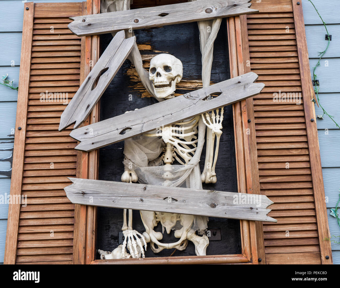 Spooky Halloween Skeletons in a Haunted House Stock Photo - Alamy