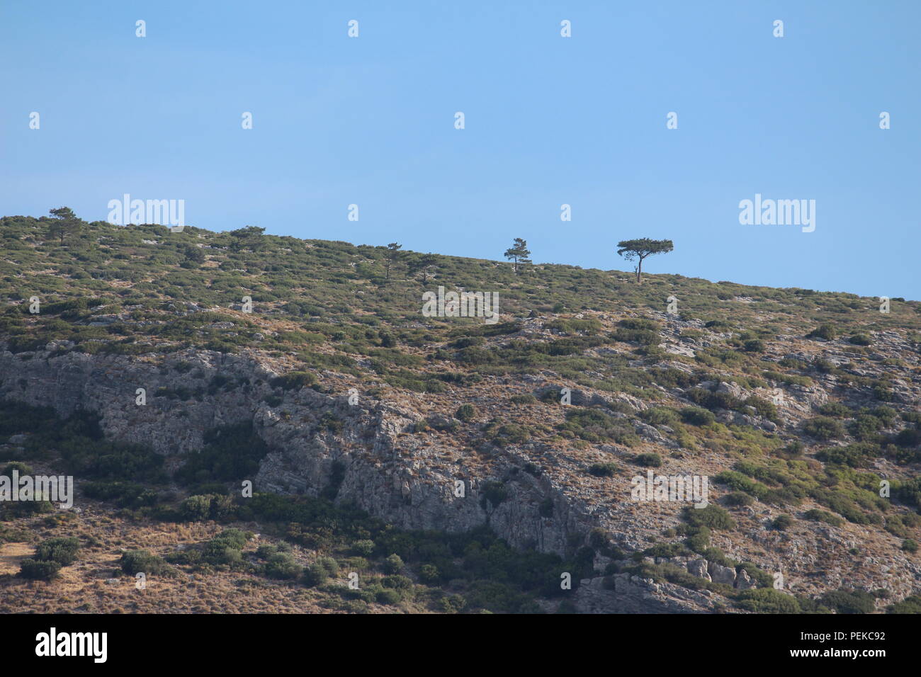 Tree grass slope hi-res stock photography and images - Alamy