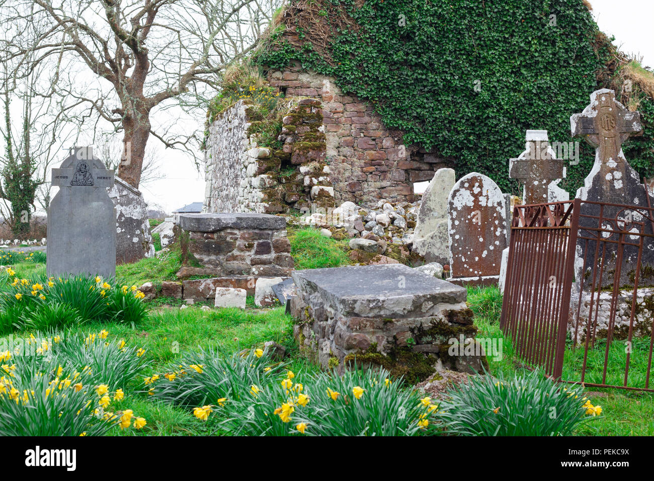 View of old Irish cemetery ruins in countryside of Ireland Stock Photo ...