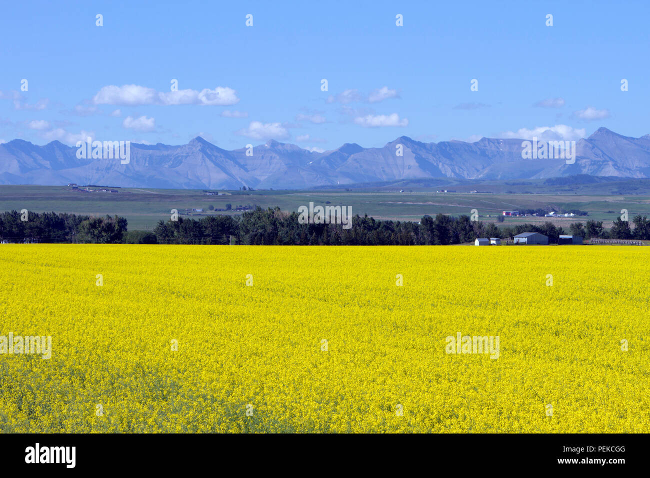 Rural alberta hi-res stock photography and images - Alamy