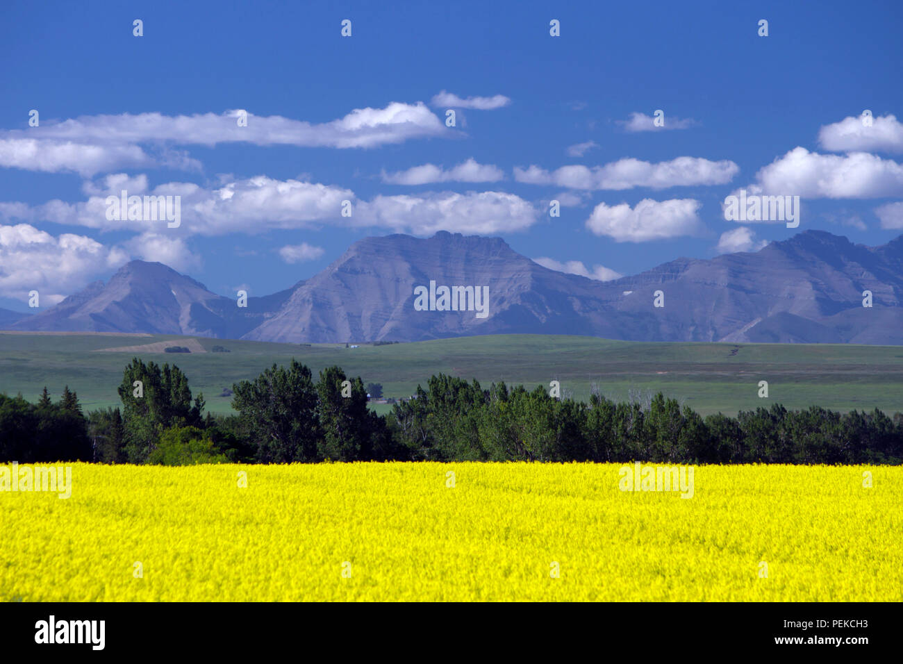 Rural alberta hi-res stock photography and images - Alamy
