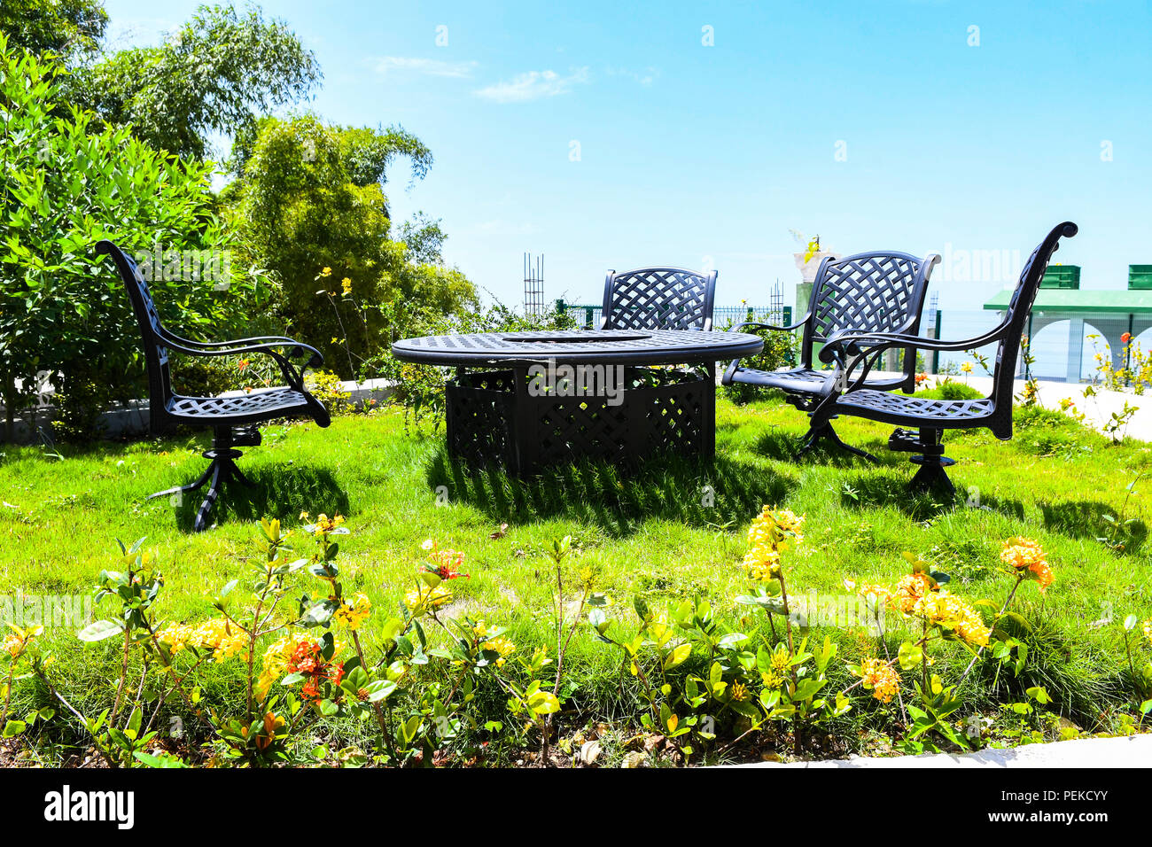 A beautiful backyard in a summer's day Stock Photo - Alamy