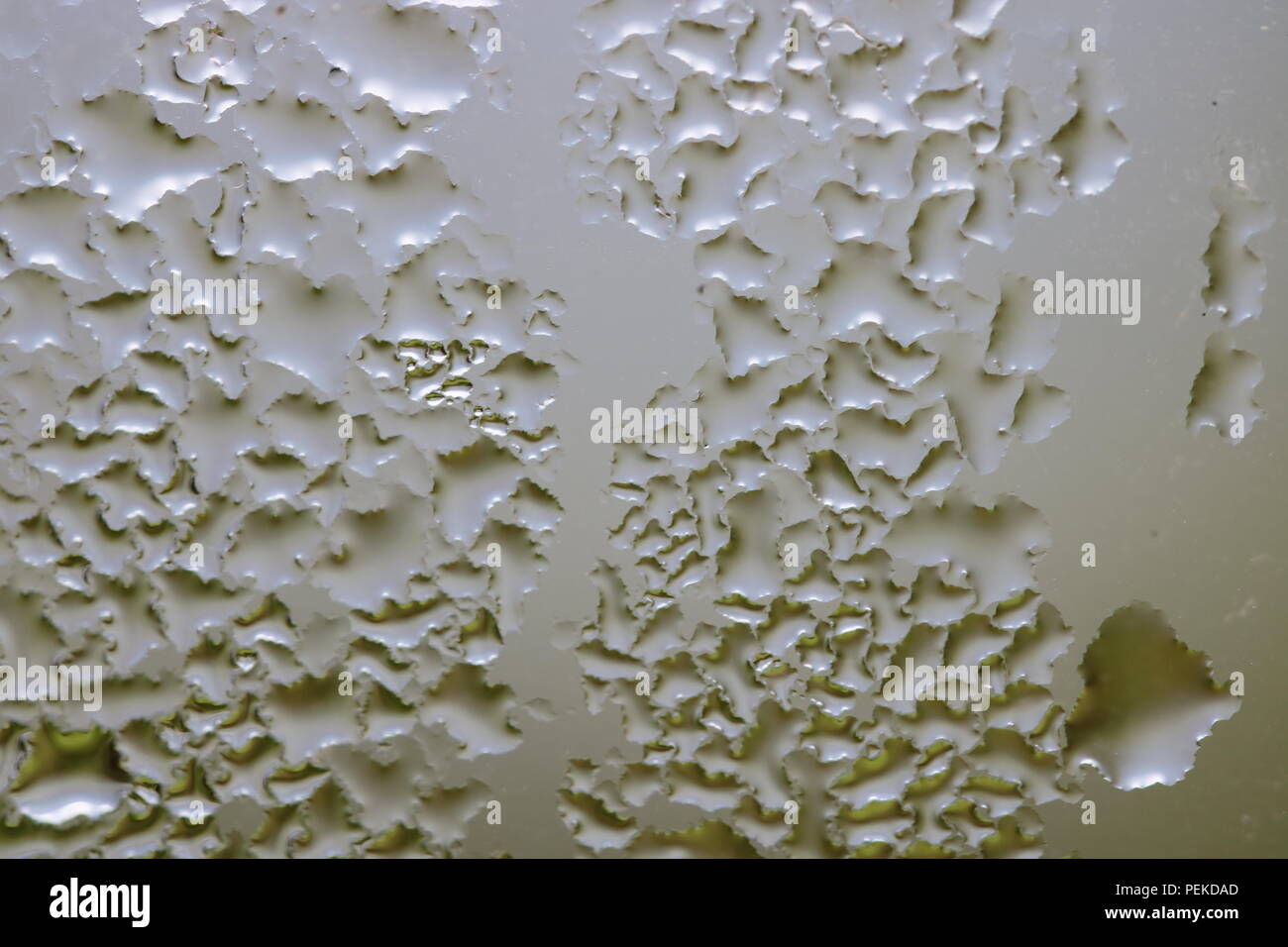 Moisture on a Glass Surface Stock Photo - Alamy