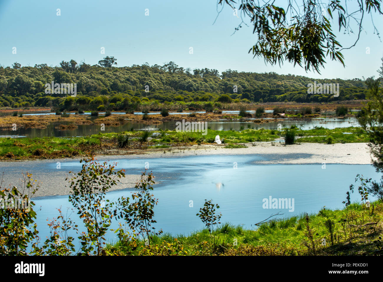Yanchep National Park, Western Australia Stock Photo - Alamy