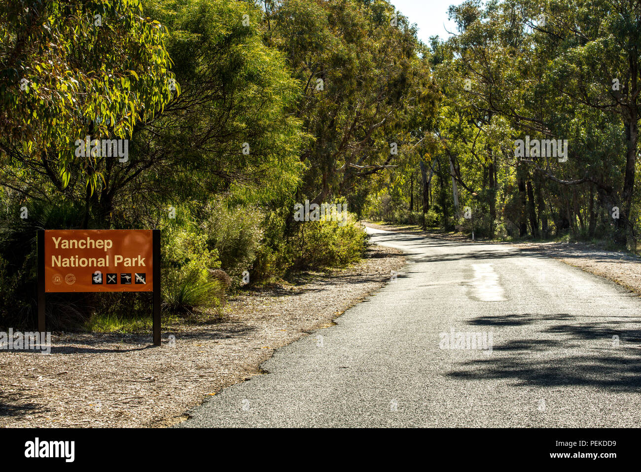 Yanchep national park hi-res stock photography and images - Alamy