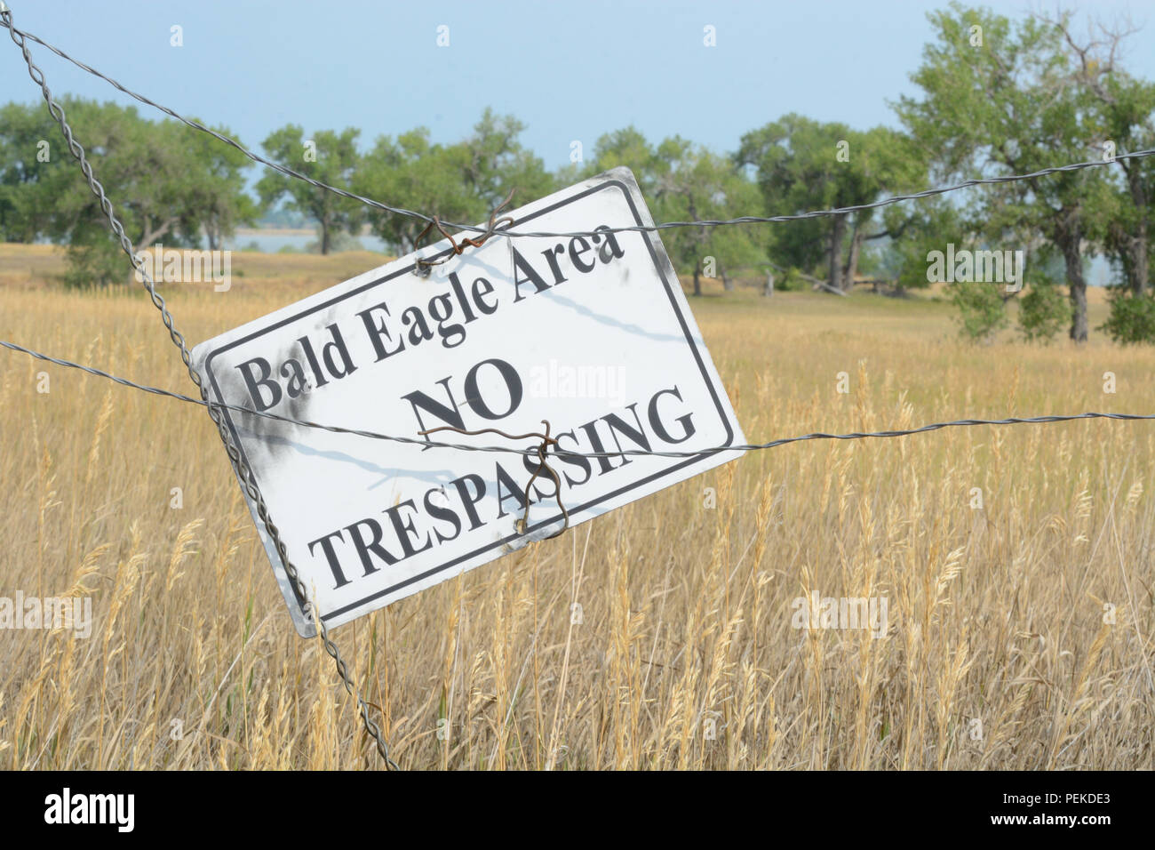 No trespassing sign to protect bald eagle nesting area from disruption ...