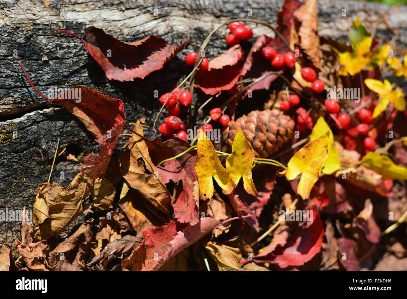Lima peaks hi-res stock photography and images - Alamy