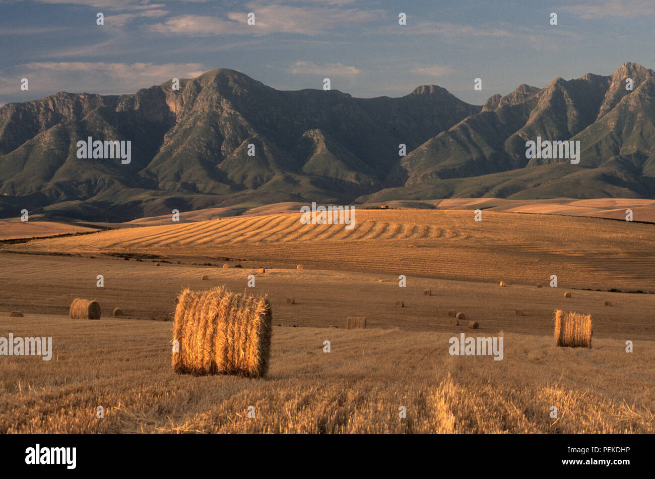 Harvest fields at sunset Stock Photo - Alamy