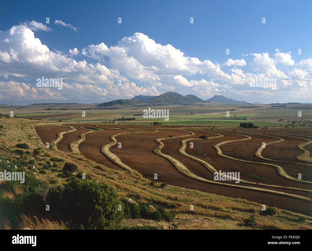 Free in the fields hi-res stock photography and images - Alamy
