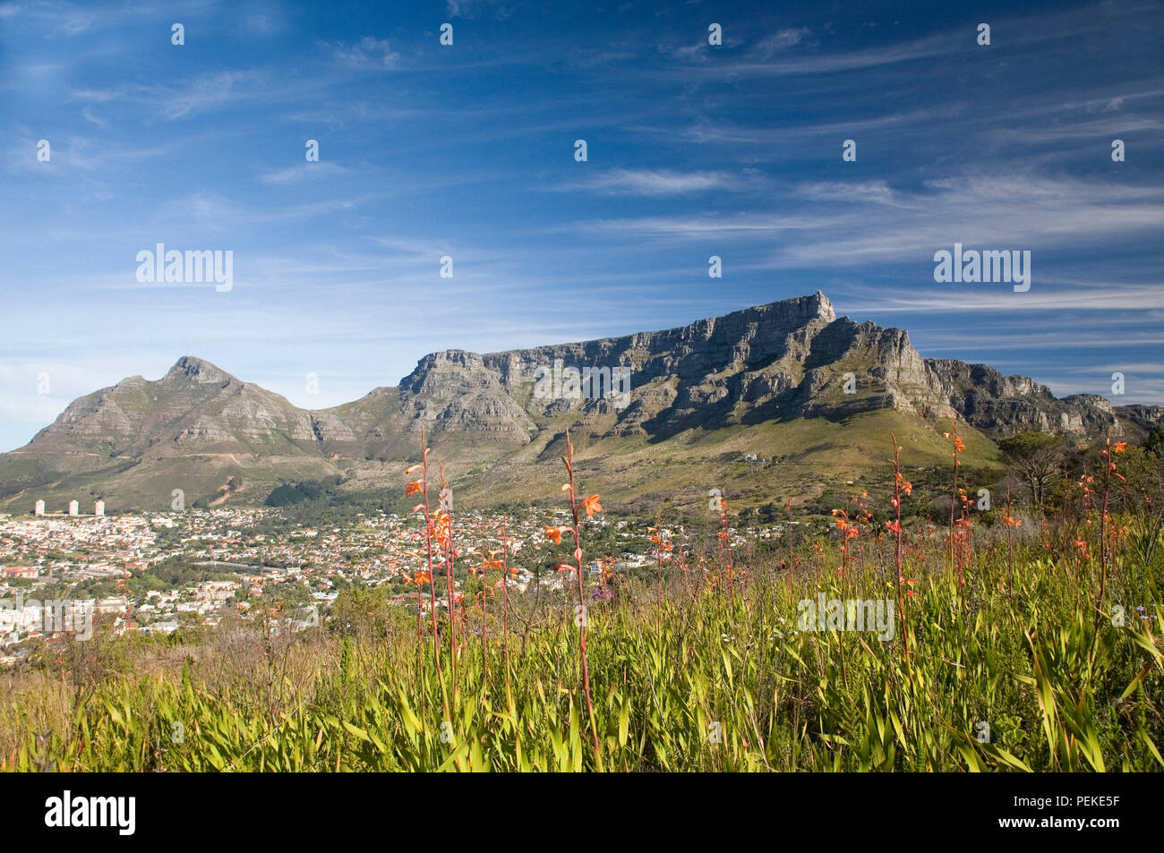 Table Mountain frontal view Stock Photo - Alamy