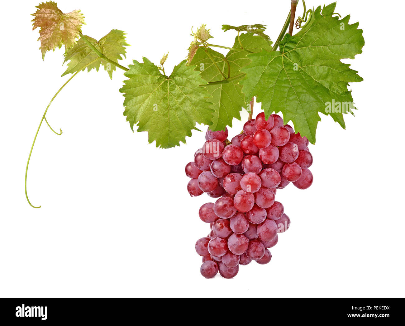 red grapes isolated on white background Stock Photo - Alamy