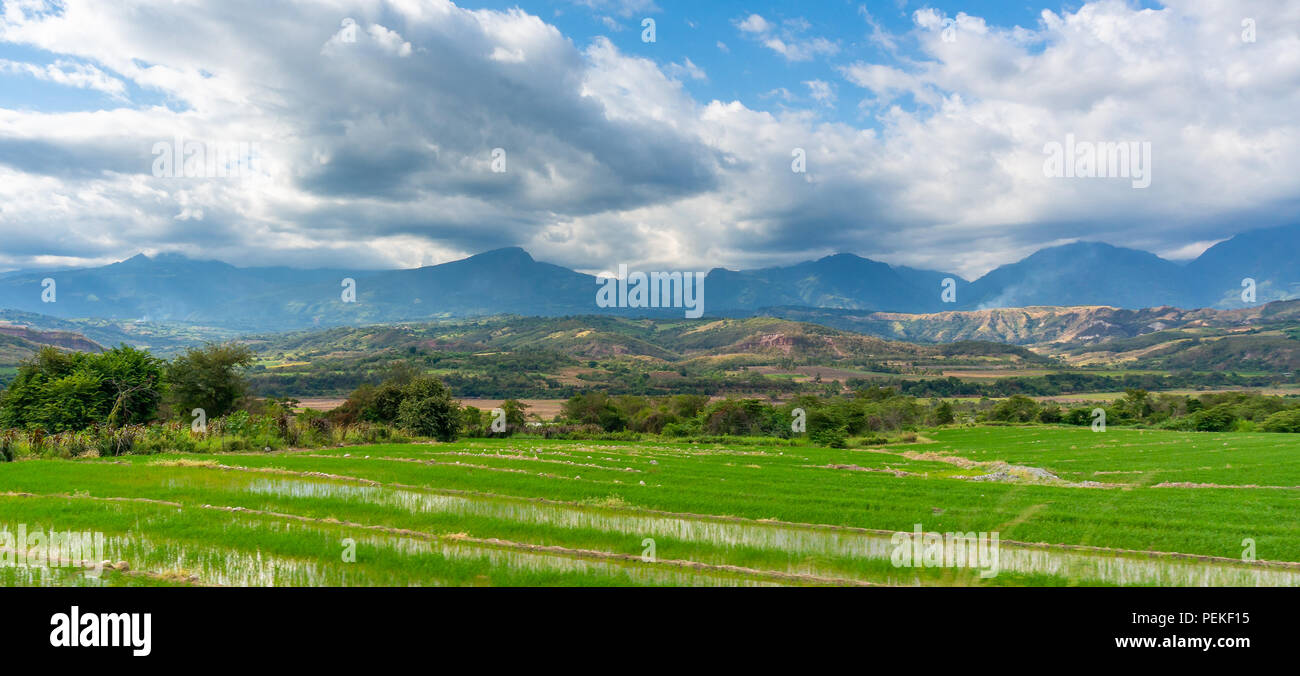 andes mountains with rice fields in southern amazon region of Peru ...