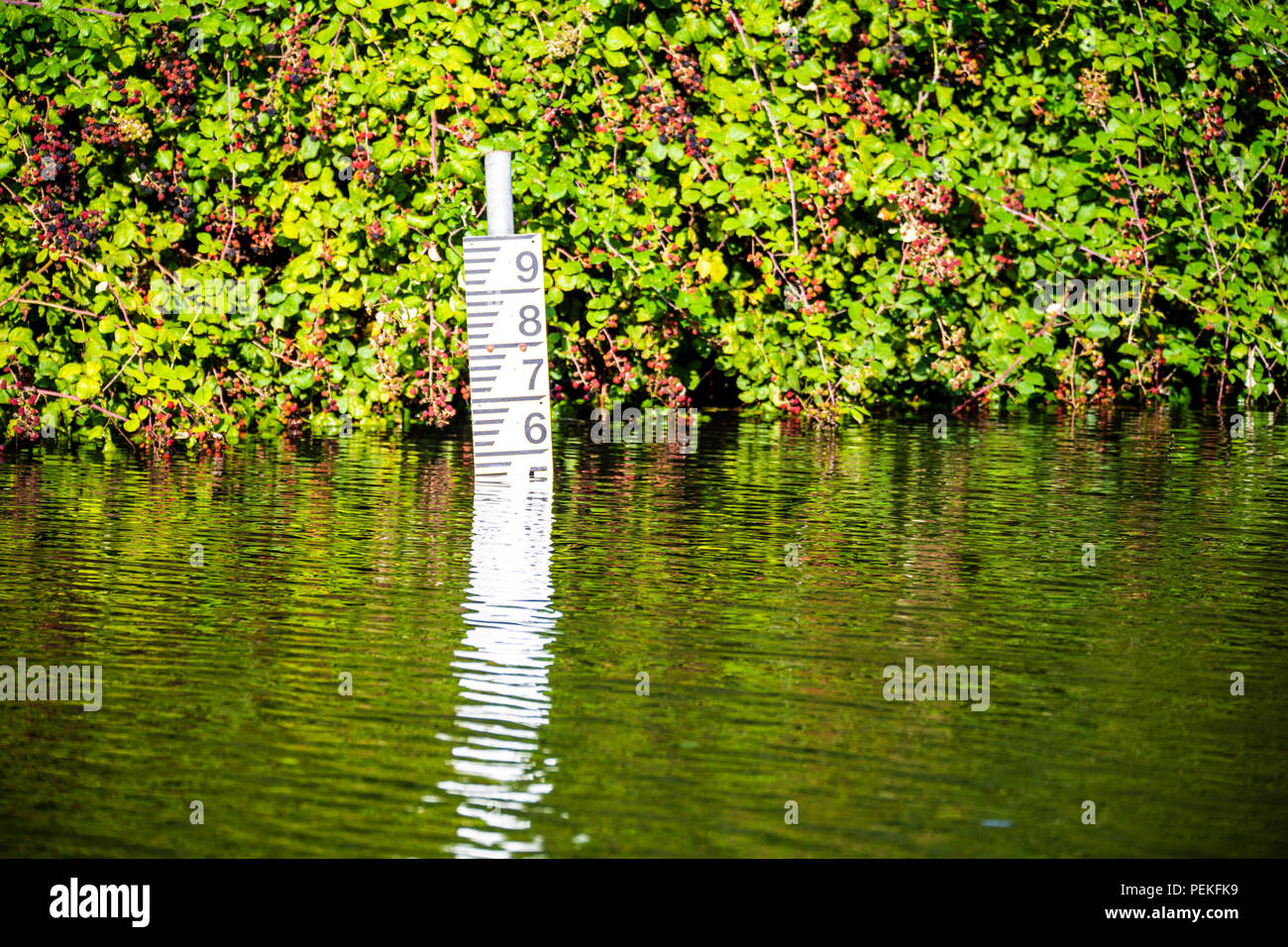 Water depth gauge hi-res stock photography and images - Alamy