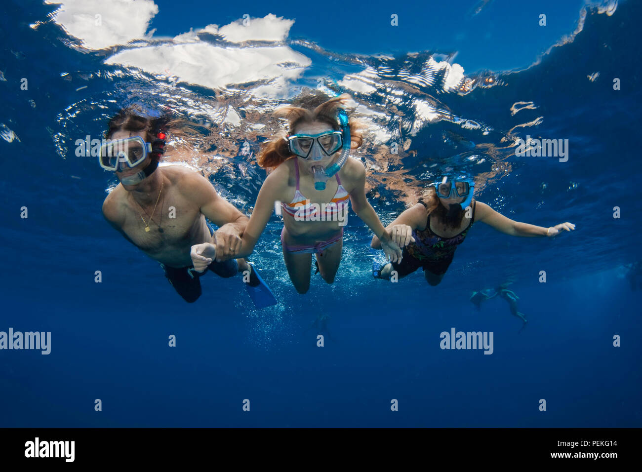 A couple (MR) free diving off the island of Lanai, Hawaii Stock Photo ...