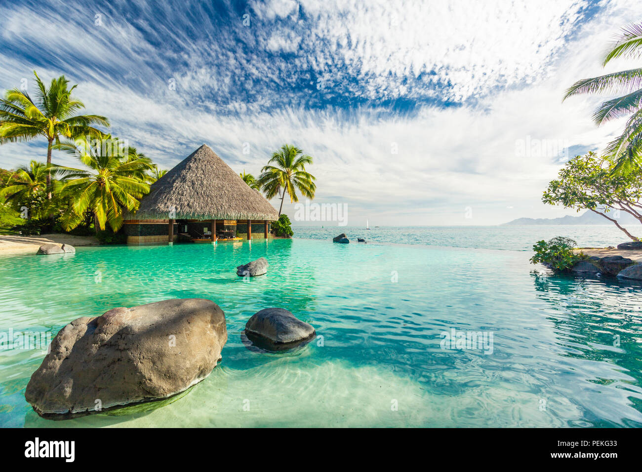 Infinity pool with palm tree rocks, Tahiti island, French Polynesia ...