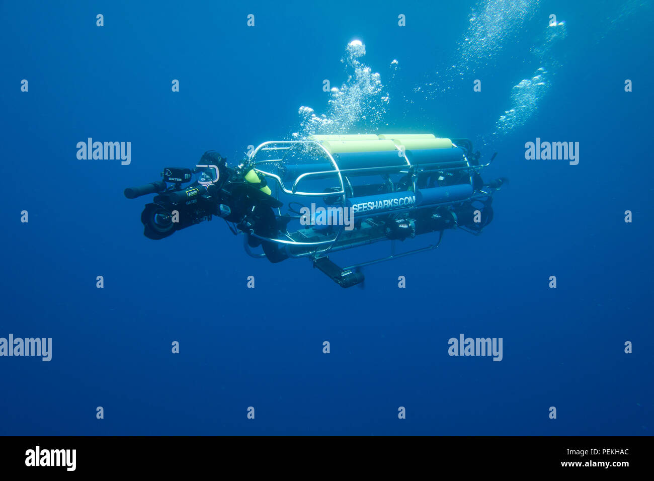 Shark researchers, Lawrence Groth and Kat Fisher, looking for great ...