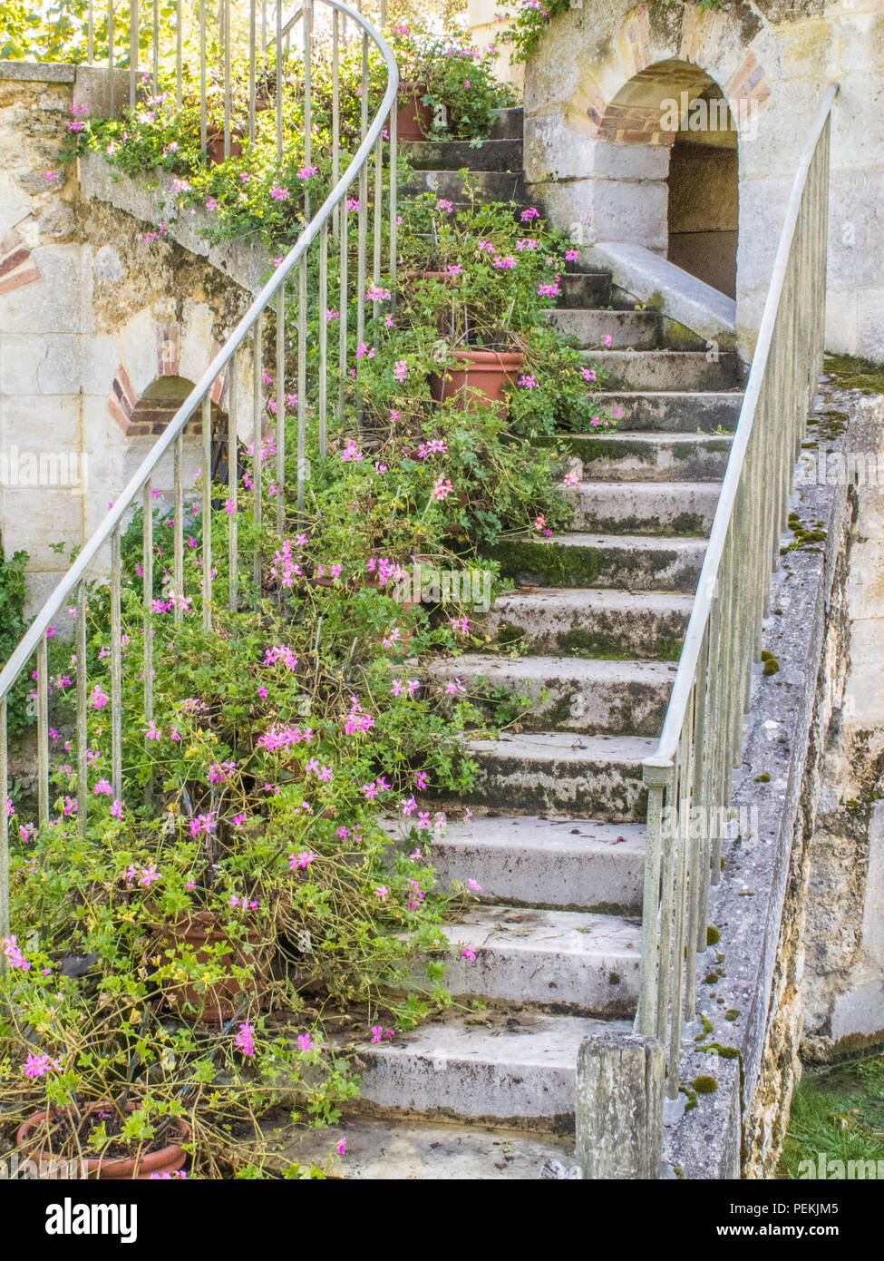 Ancient stone stairway, Versailles, Paris, France Stock Photo - Alamy