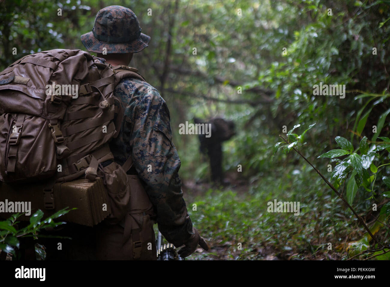 5th field battalion signal corps hi-res stock photography and images ...