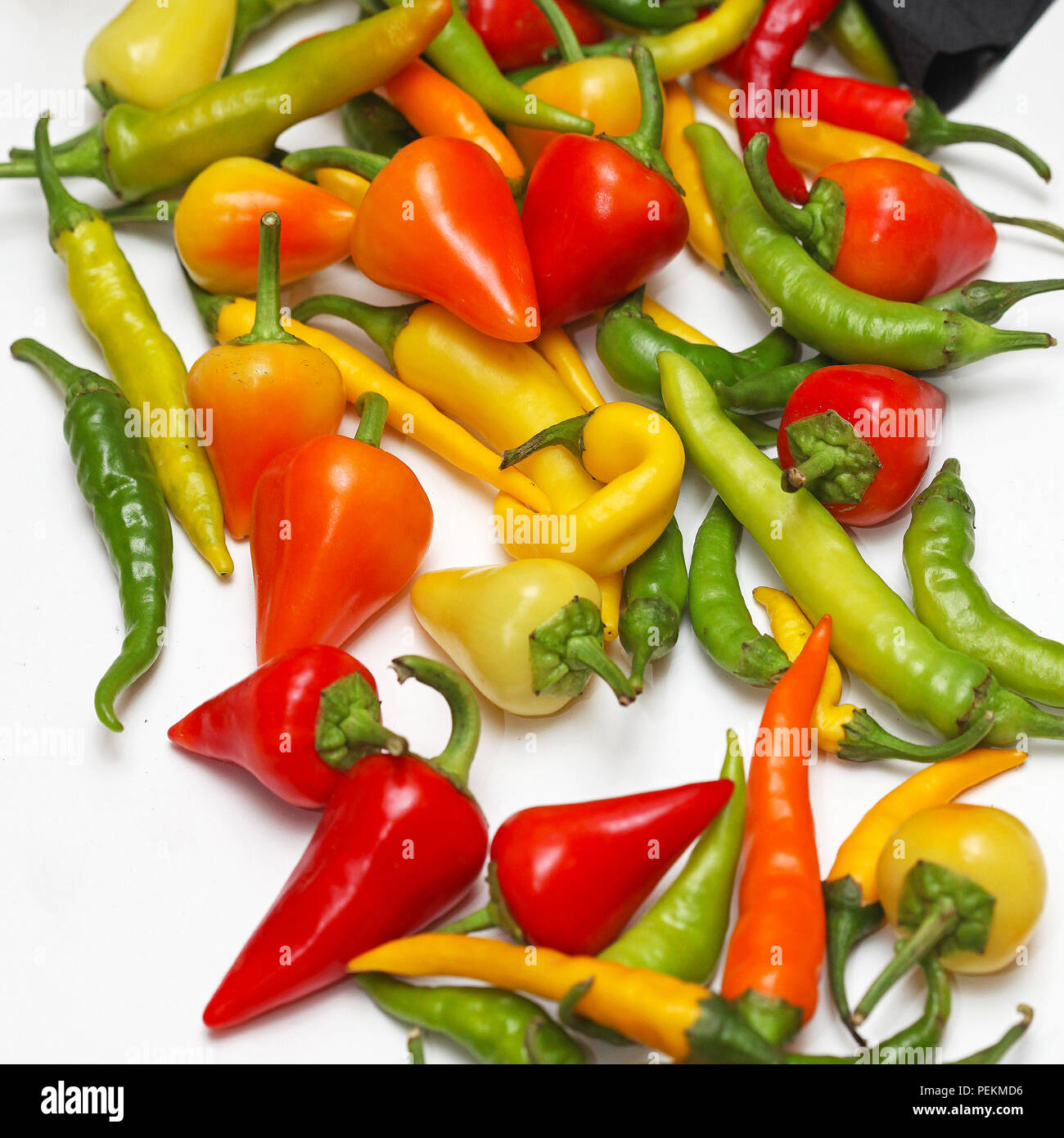 Variety of hot and spicey chilli peppers Stock Photo - Alamy
