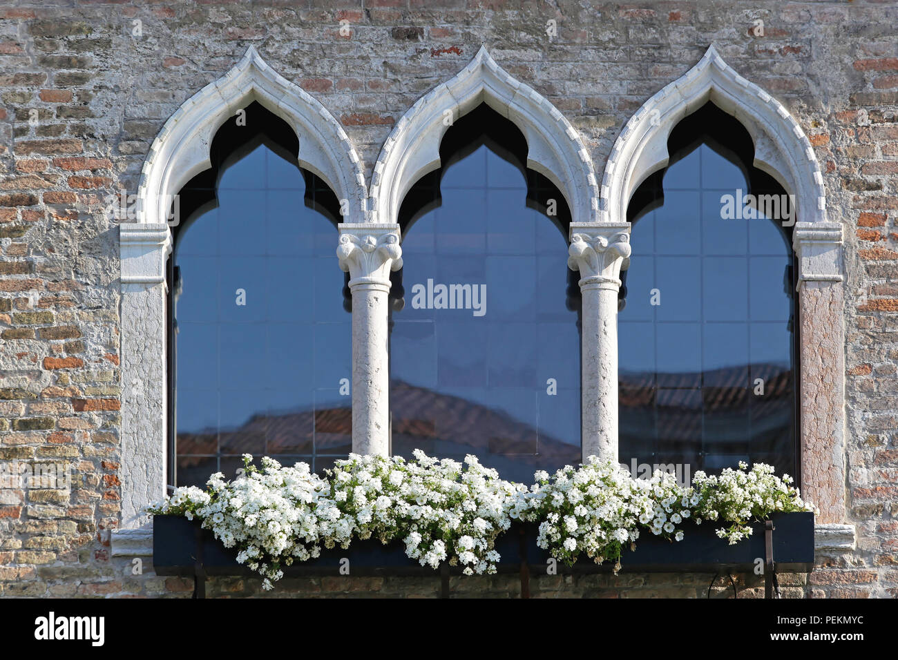 Traditional windows with flowers in Venice Stock Photo - Alamy