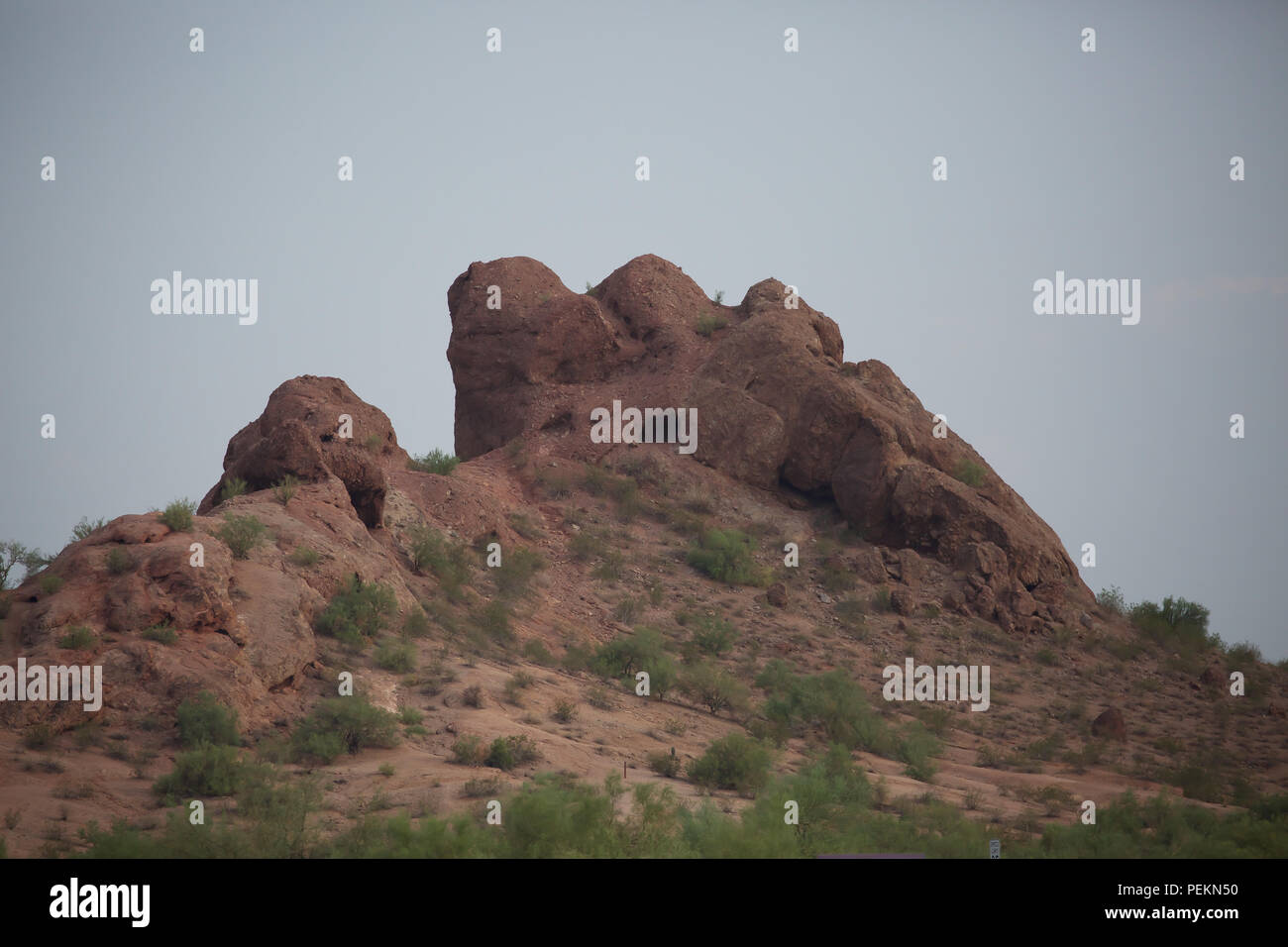Desert red rocks outside Phoenix Zoo,Arizona, USA Stock Photo - Alamy