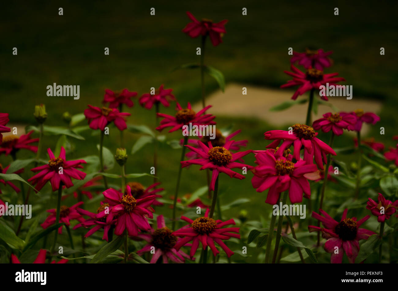 Beauty bundle hi-res stock photography and images - Alamy