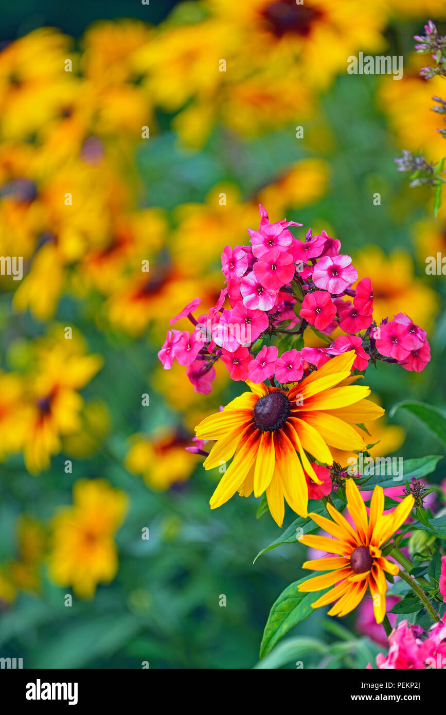 Planters for gardens hi-res stock photography and images - Alamy