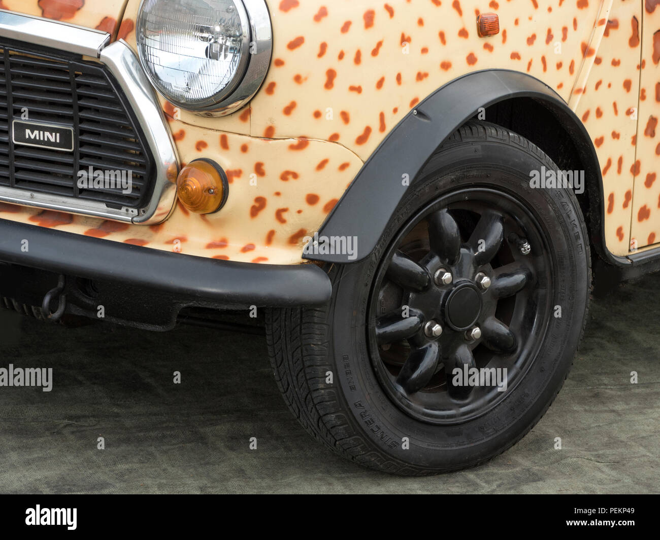 1989 Rover Mini Leopard skin design Stock Photo - Alamy