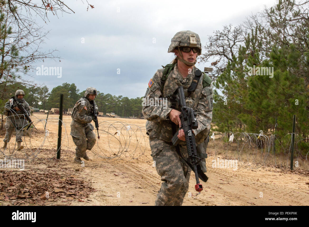 122 asb hi-res stock photography and images - Alamy