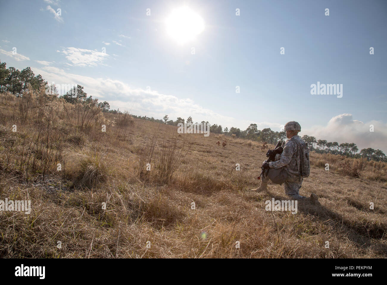 122 asb hi-res stock photography and images - Alamy