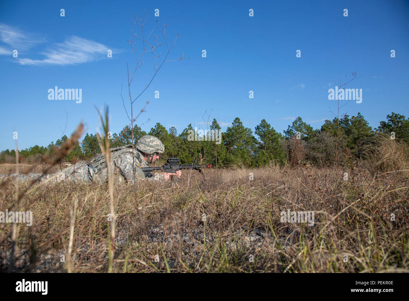 122 asb hi-res stock photography and images - Alamy