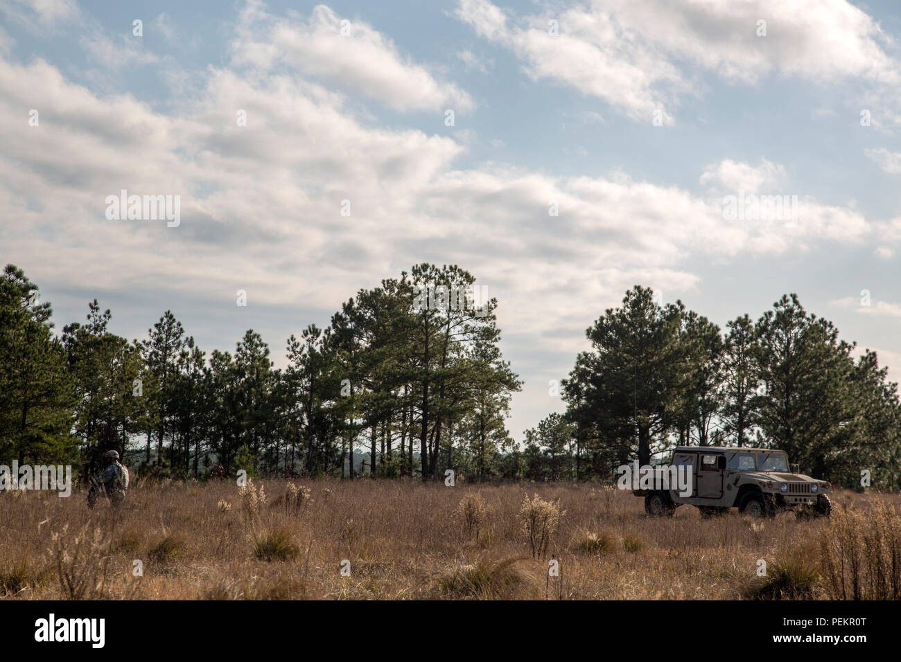 U.S. Army soldiers assigned to the 122nd Aviation Support Battalion and ...