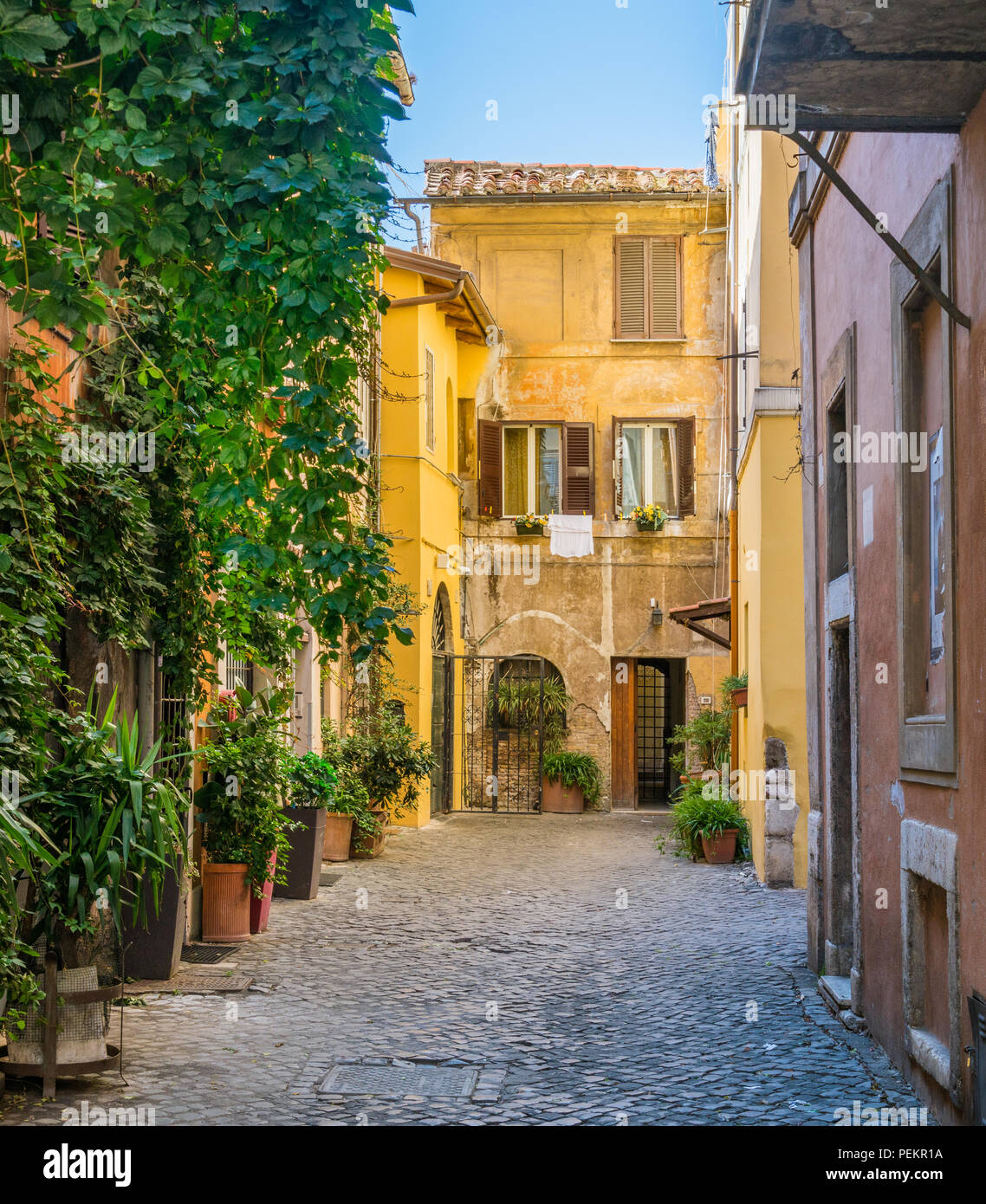 The picturesque Rione Trastevere on a summer morning, in Rome, Italy ...