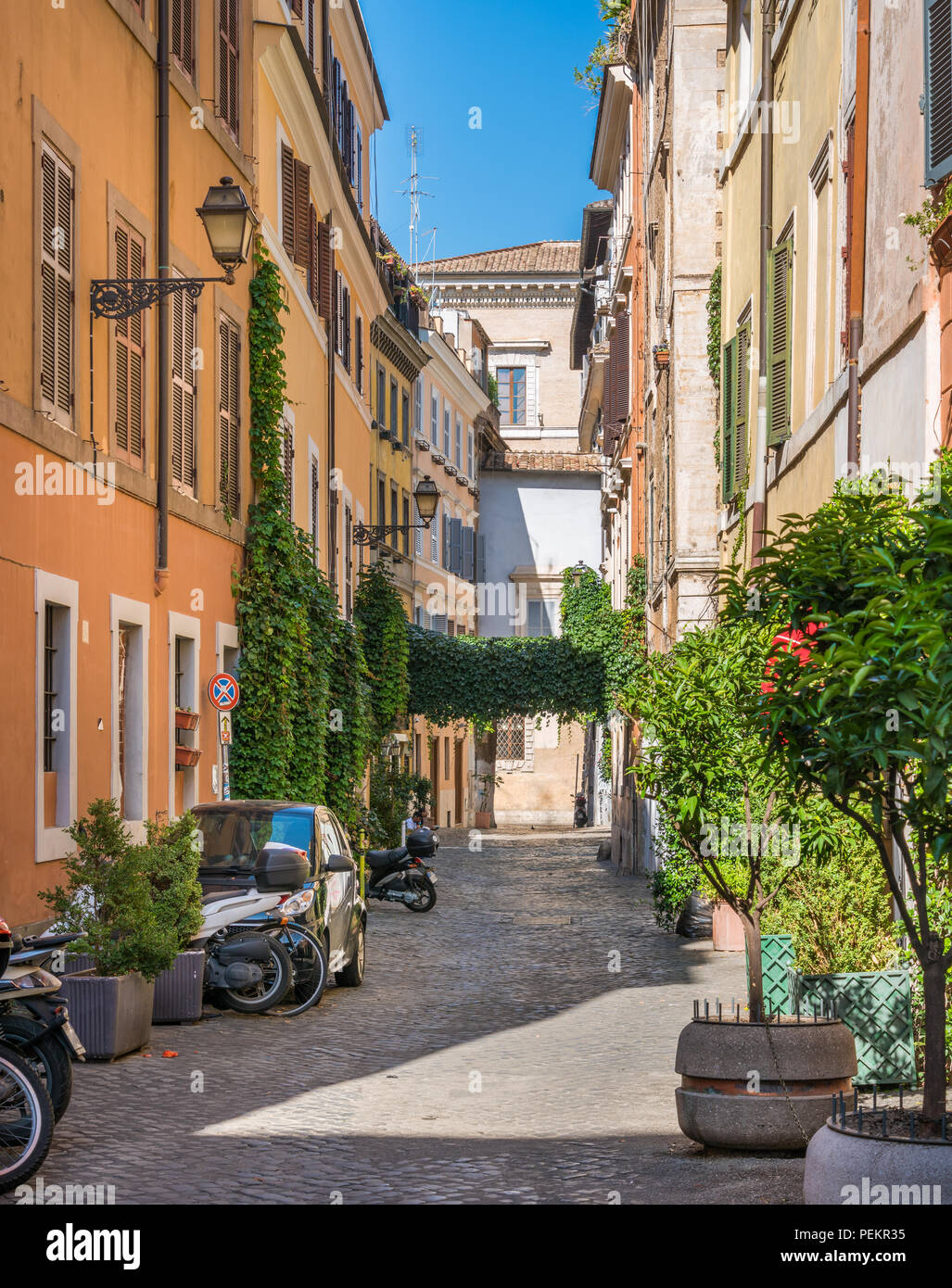 The picturesque Rione Trastevere on a summer morning, in Rome, Italy ...