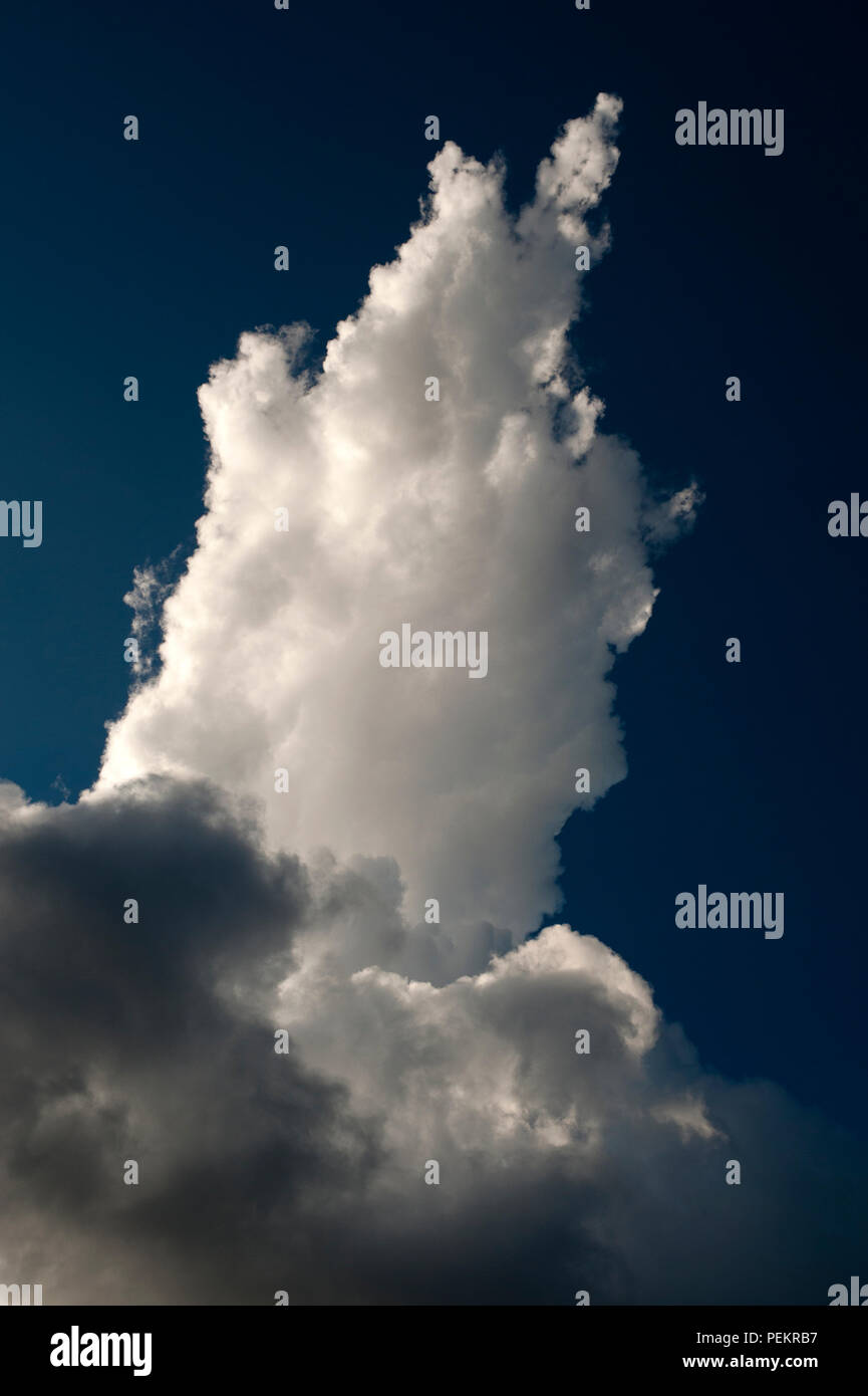Cumulus clouds with vertical growth creating dramatic cloud shapes Stock Photo - Alamy