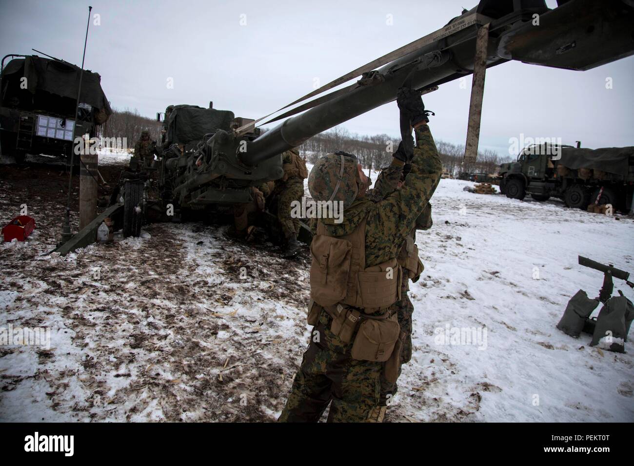 U.S. Marines with 3rd Battalion, 11th Marines, prepare to fire an ...