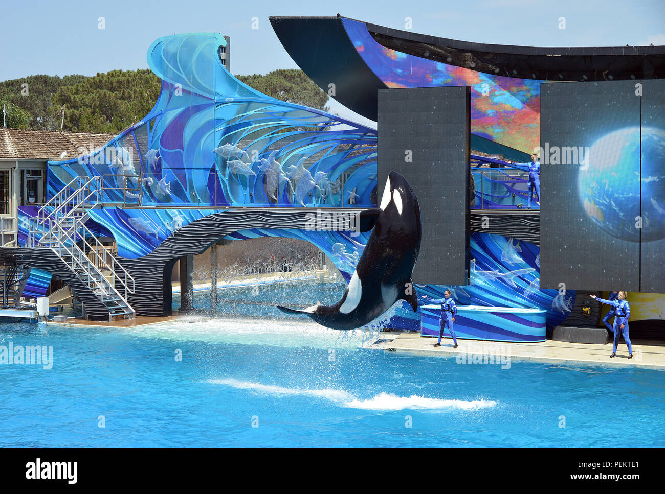 Seaworld aquarium hi-res stock photography and images - Alamy