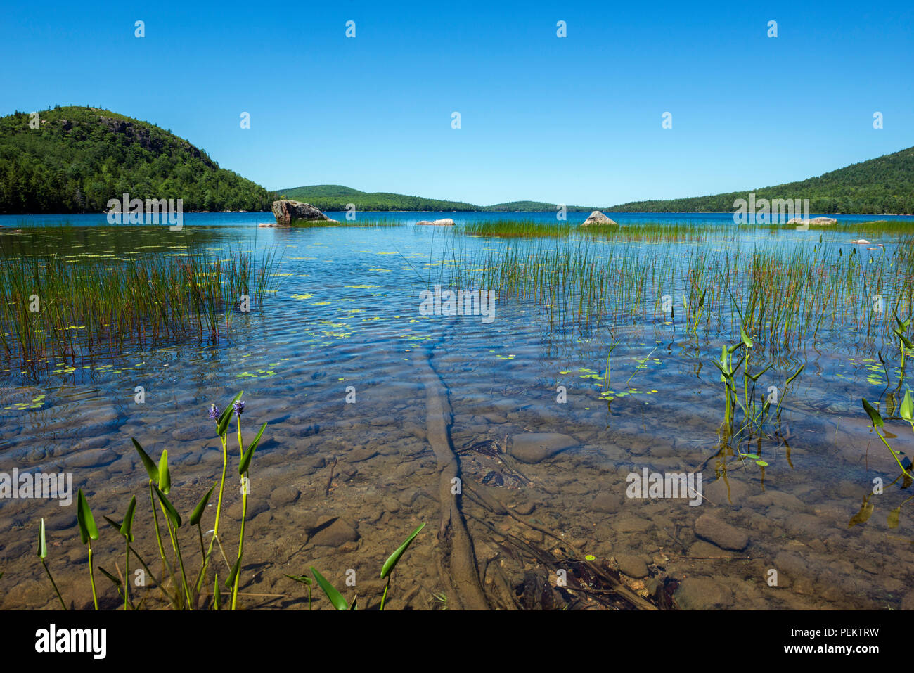 Eagle lake hi-res stock photography and images - Alamy