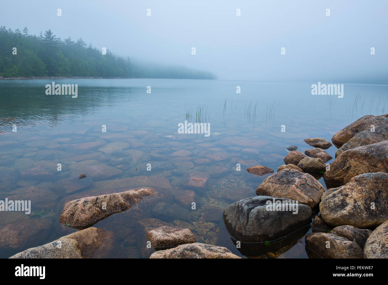 Pink mist hi-res stock photography and images - Alamy