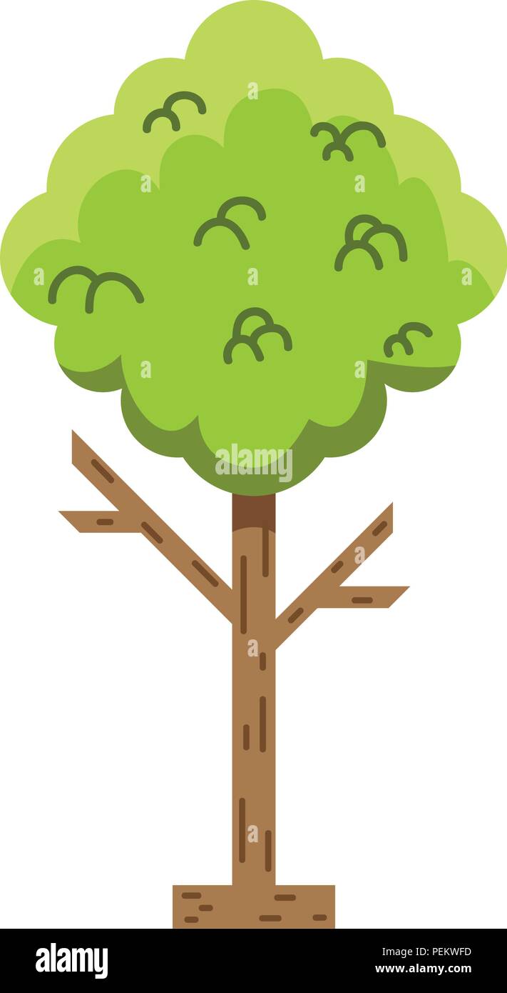 Oak stalk Stock Vector Images - Alamy