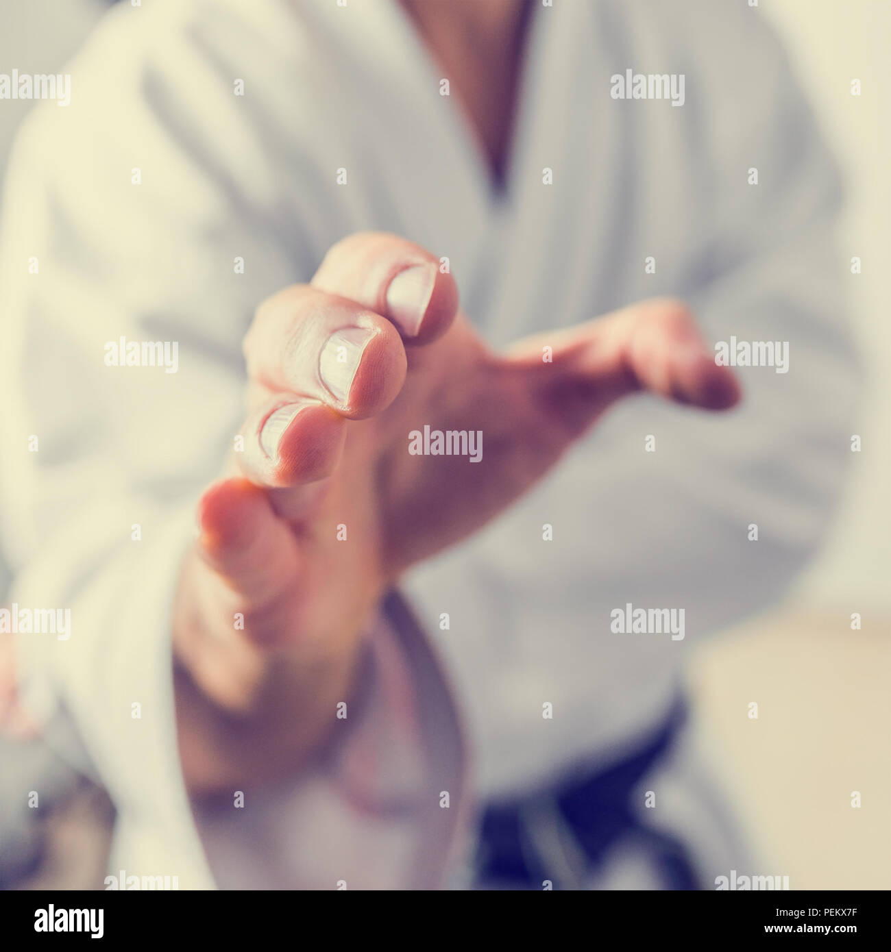 Retro effect faded and toned image of a male karate fighter making a ...