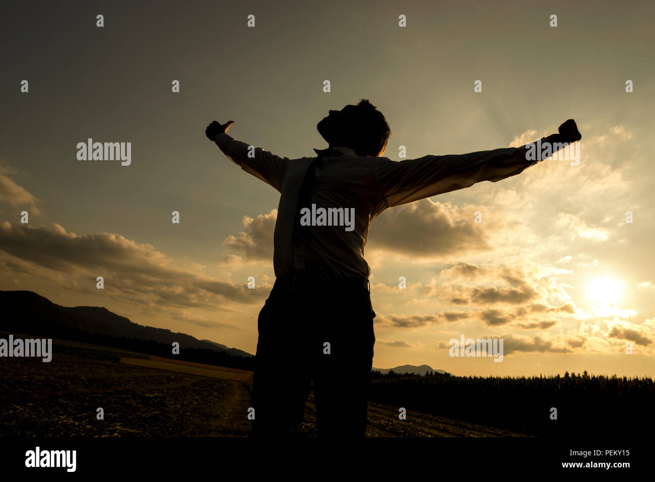 Low angle three quarter body view of silhouetted person with spread ...