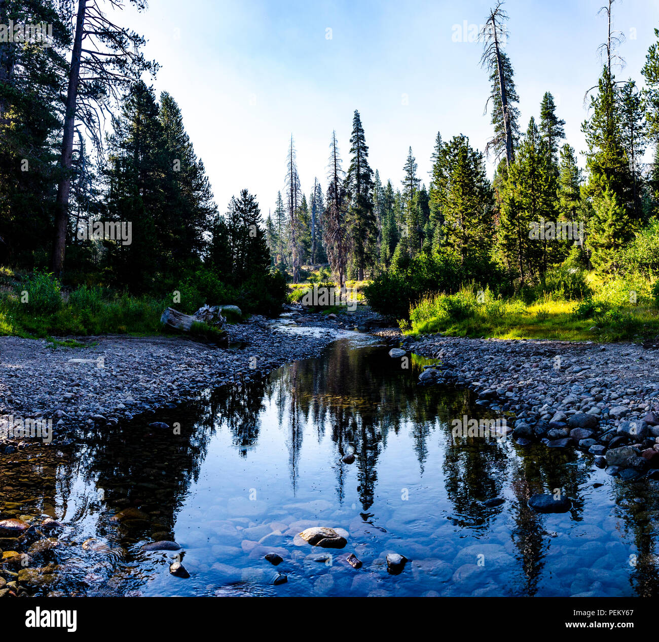 Long Valley Creek with smoke from the Ferguson fire filling the air in ...