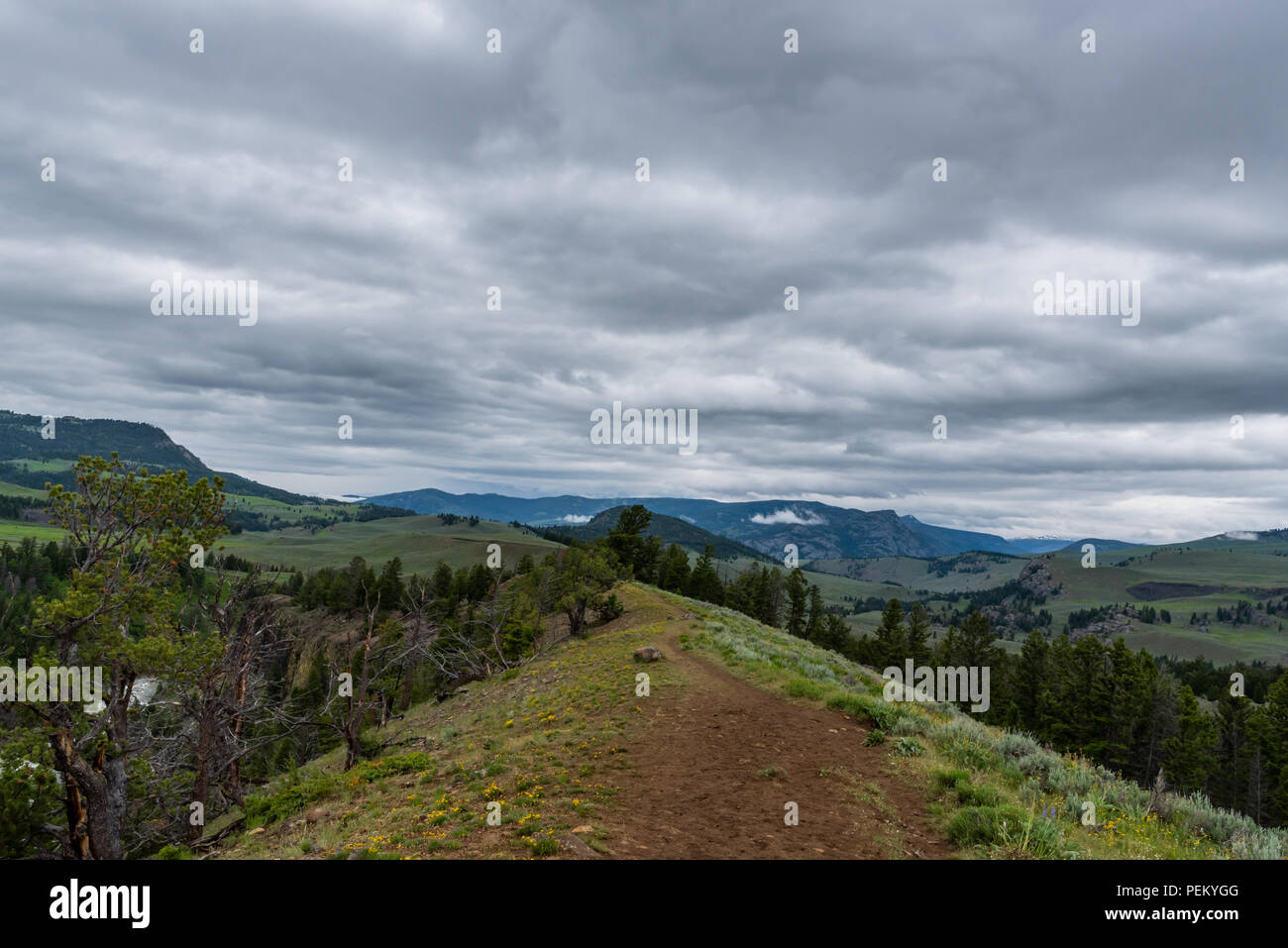 Specimen ridge yellowstone hi-res stock photography and images - Alamy