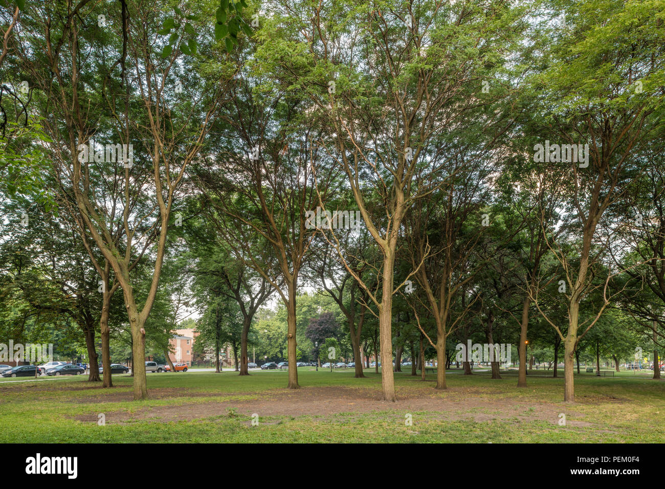 Palmer square hi-res stock photography and images - Alamy