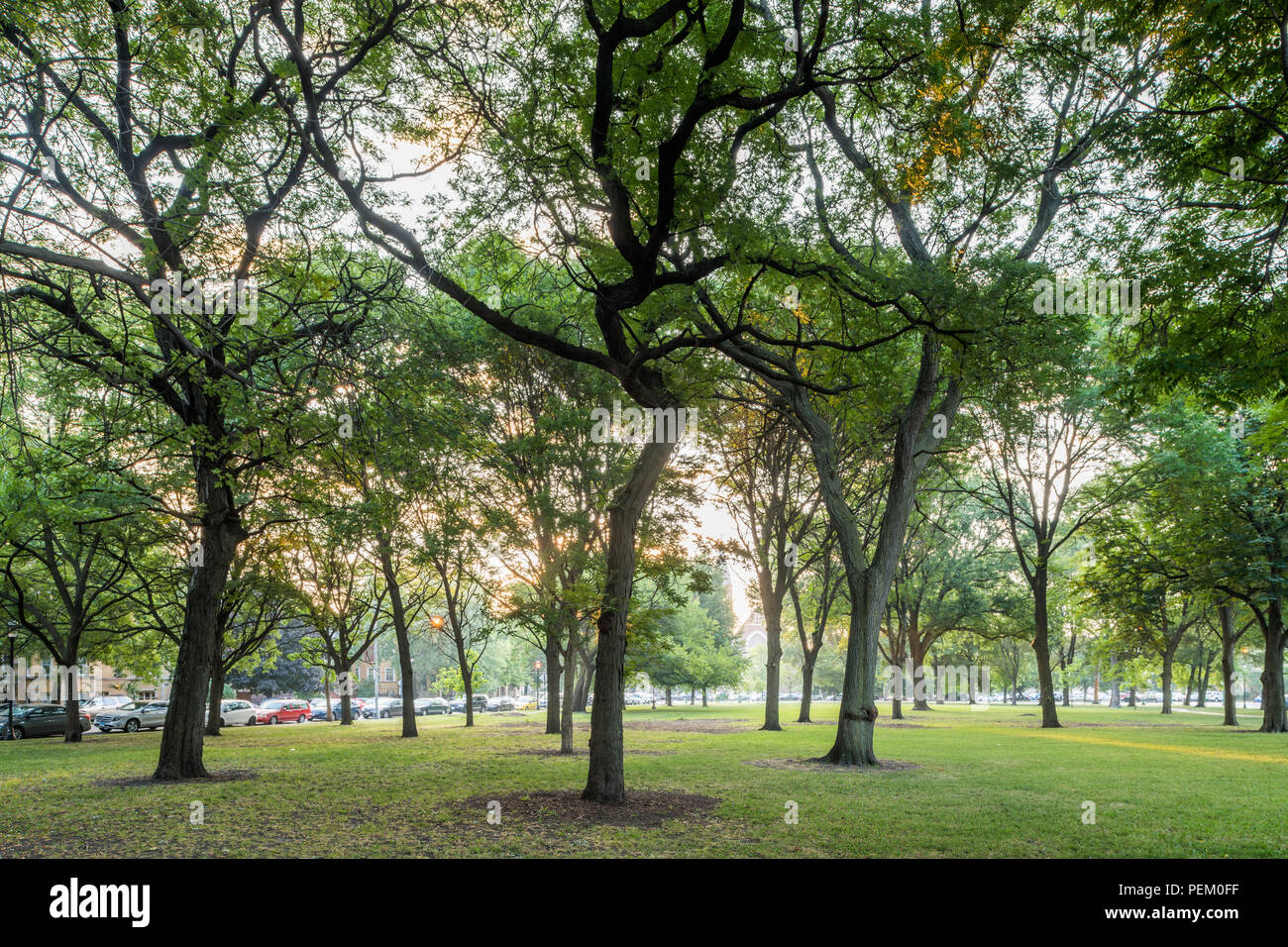 Palmer park hi-res stock photography and images - Alamy