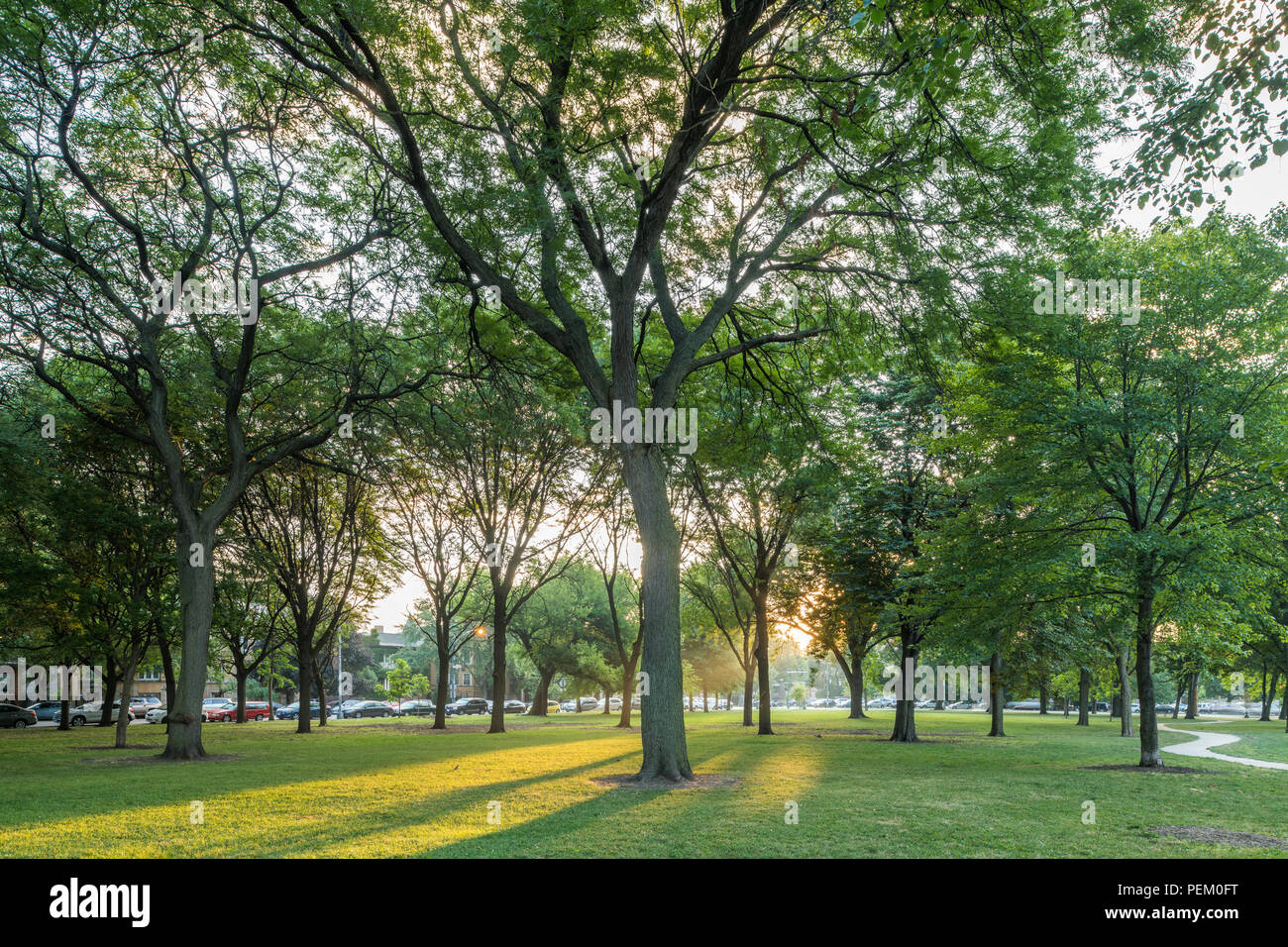 Palmer park hi-res stock photography and images - Alamy